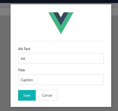 New copyright field not available for rich-text assets · Issue #323 ...