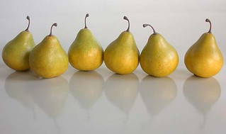 GitHub - BnzNour/RCNN: Repository for the project RCNN Machine learning