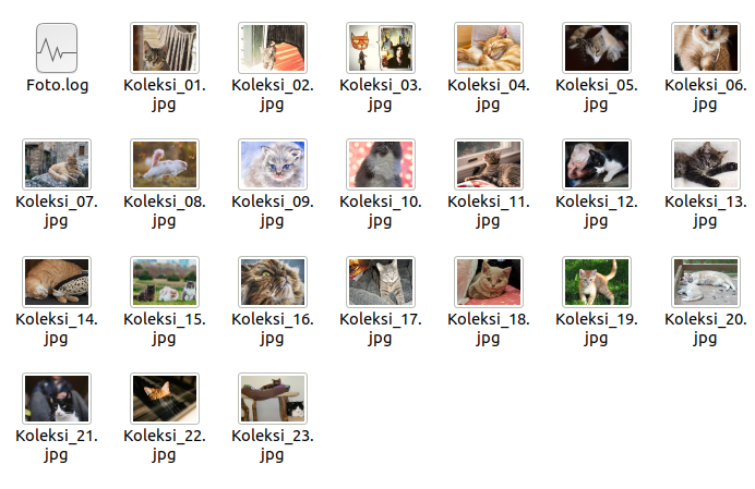 GitHub - rosaamalia/soal-shift-sisop-modul-1-F07-2021