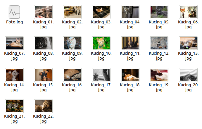 GitHub - rosaamalia/soal-shift-sisop-modul-1-F07-2021