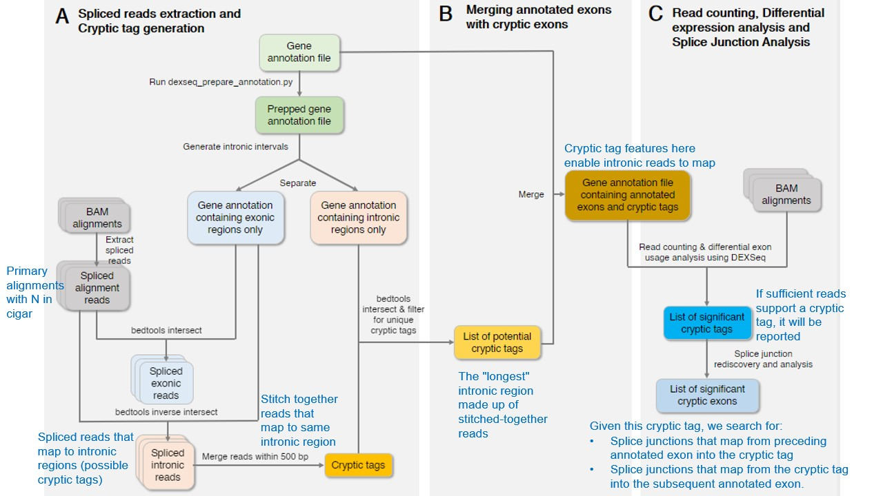 GitHub - ys-lim/cryptex-scn: CryptEx run on sciatic nerve samples