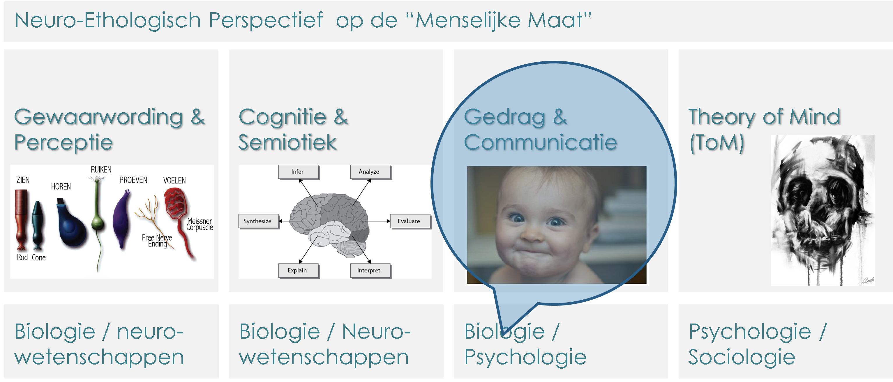 GitHub - robvdw/Digital-Humans