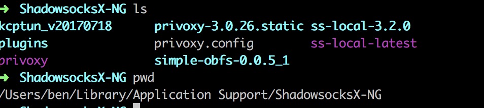 1.8.2版本找不到ss-local-config.json · Issue #1043 · shadowsocks/ShadowsocksX-NG · GitHub