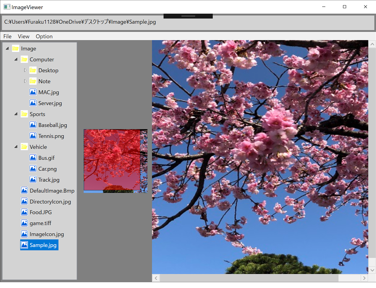 GitHub - hirogical/ImageViewer: ImageViewer For Portfolio