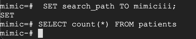 Mimic 3 Build Query By Postgres Datebase Cant Work Properly After Set 8698