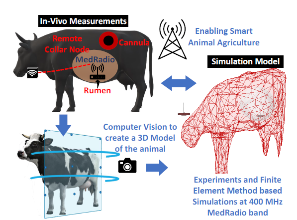 GitHub - SparcLab/Bovine-FEM-Model: Model of a bovine for Finite ...