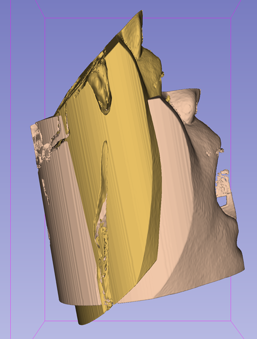 PC wrapped model orientation in GPA Module · Issue #194 · SlicerMorph/SlicerMorph · GitHub