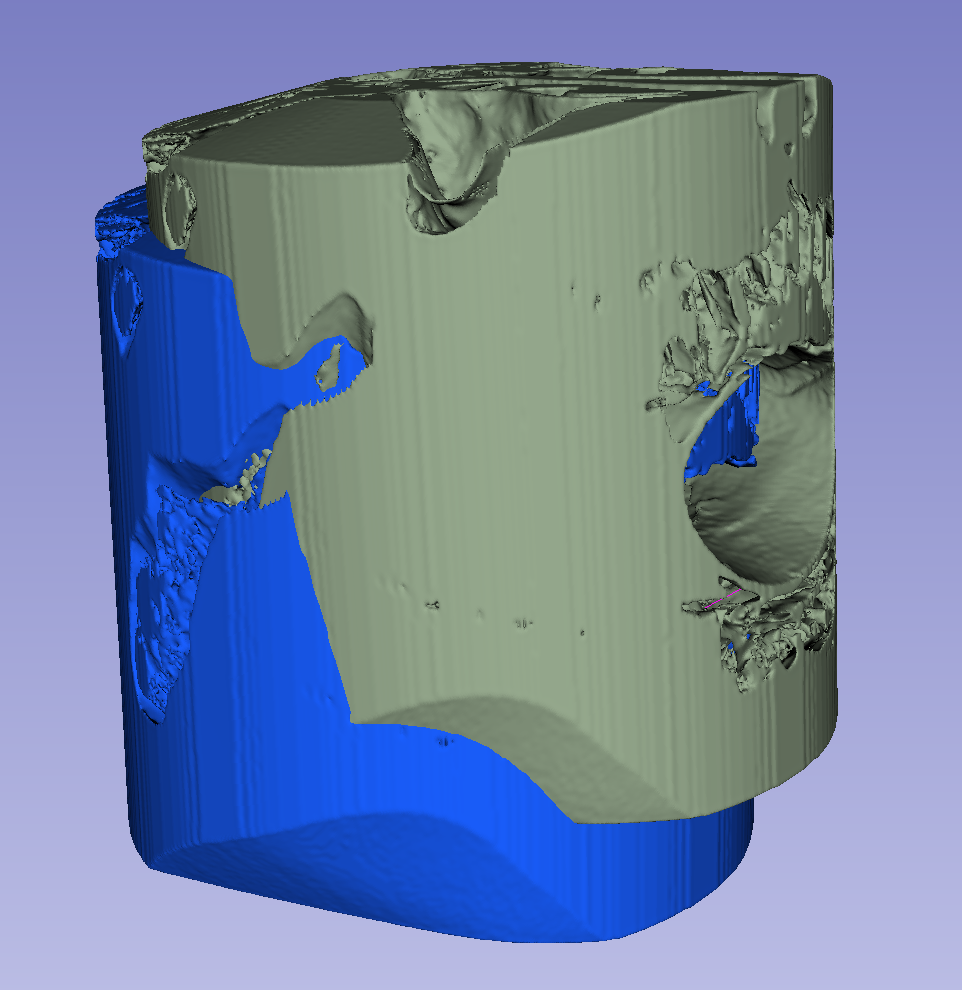 PC wrapped model orientation in GPA Module · Issue #194 · SlicerMorph/SlicerMorph · GitHub