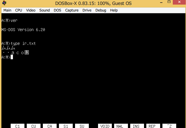 Irregular SJIS code handling in PC98 · Issue #2617 · joncampbell123/dosbox-x · GitHub