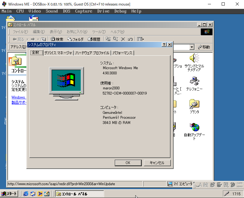 "General Protection" and "Not Present Fault" when installing in Windows ...