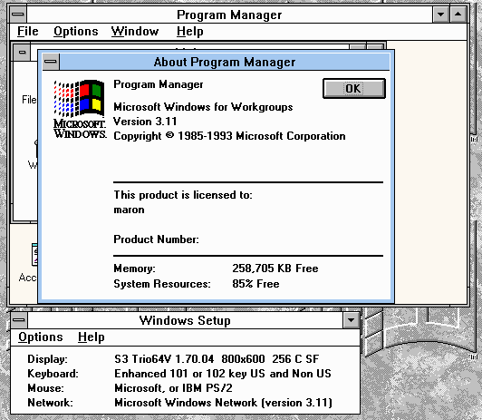 Dosbox-x crashes while starting Windows for Workgroups 3.11 with the built in SVGA driver ...