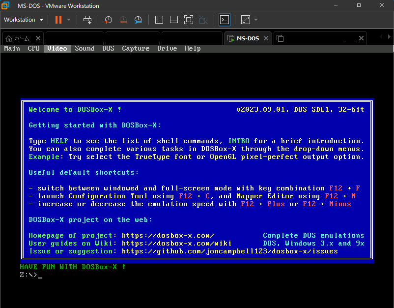 Someone using the HX-DOS version? not working here · Issue #3961 · joncampbell123/dosbox-x · GitHub