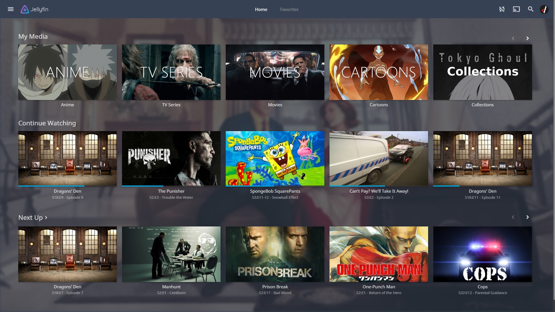 Server-provided custom CSS local import not working · Issue #131 · jellyfin/jellyfin-media ...