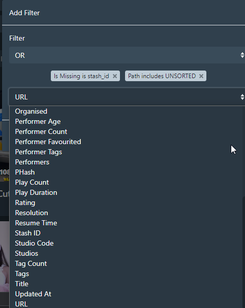 [Feature] Boolean Filter Wrappers · Issue #3431 · stashapp/stash · GitHub
