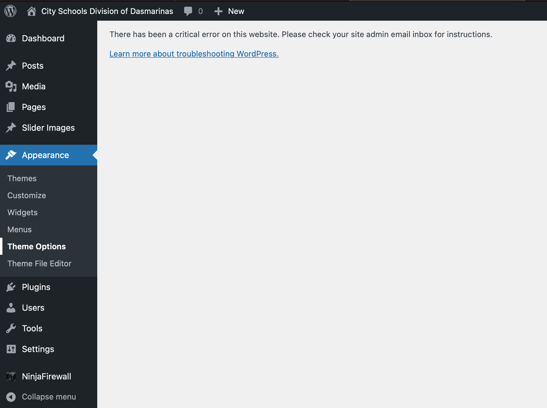 Theme Options Error · Issue 57 · Igovphil Gwt Wordpress · Github
