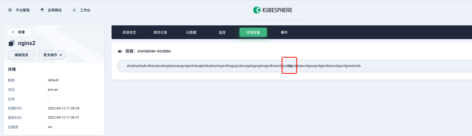 Environment Variable Display Is Occluded 3073 · 议题 · Kubesphere Console · 极狐gitlab