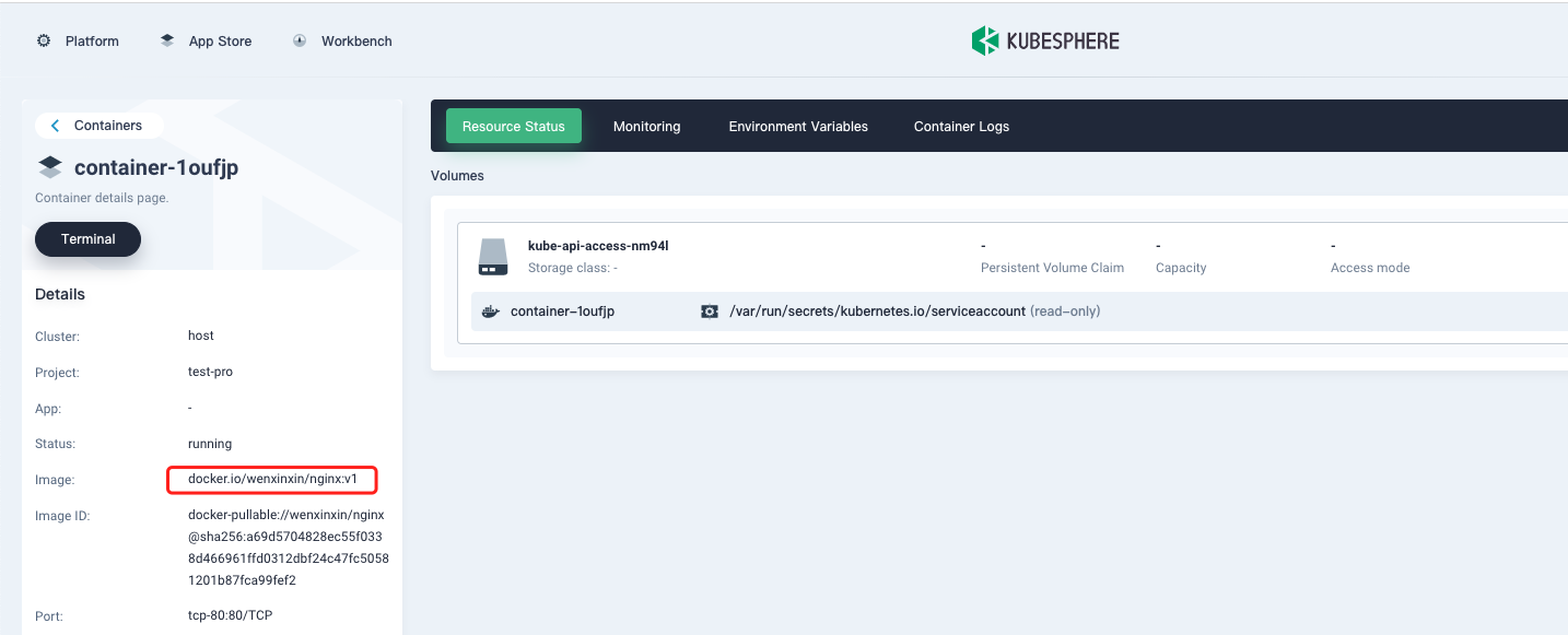 Deployment with a custom version number of a private container repository fails · Issue #5384 ...