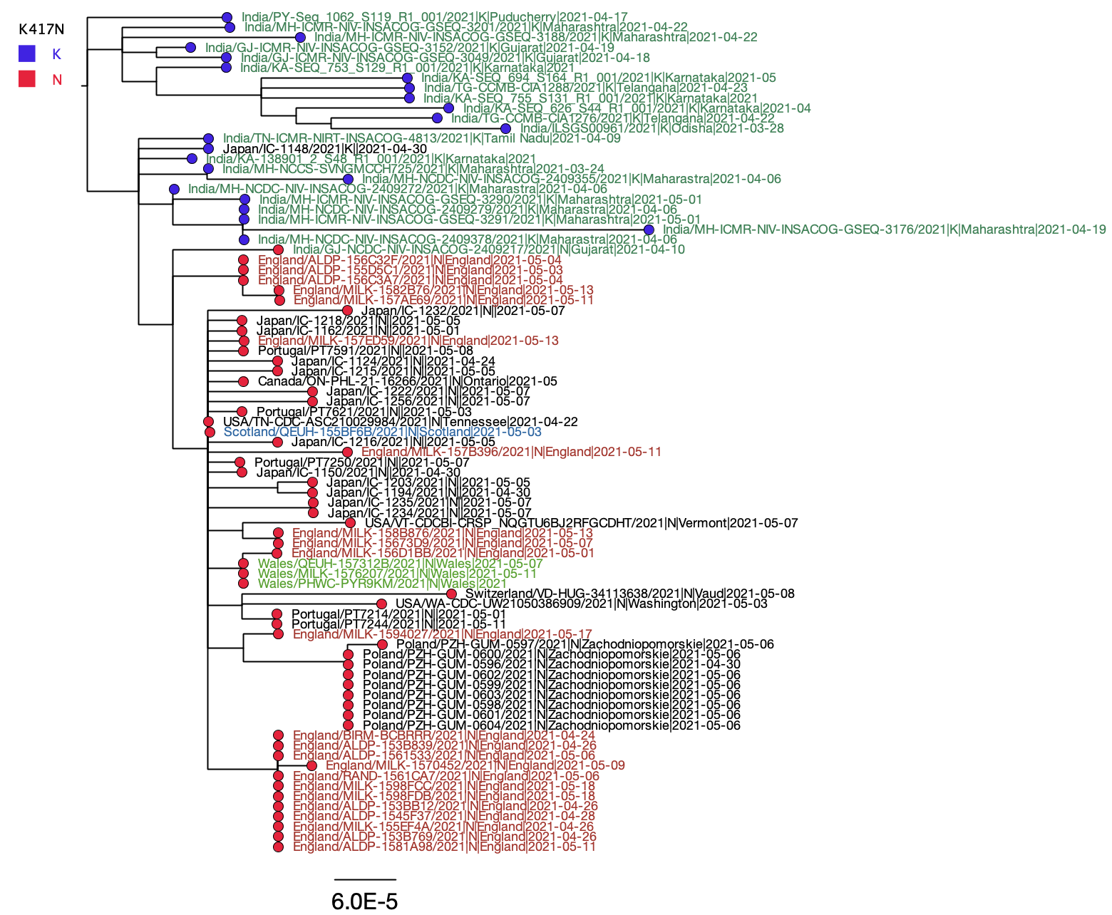 B.1.617.2 sublineage with K417N · Issue #95 · cov-lineages/pango ...