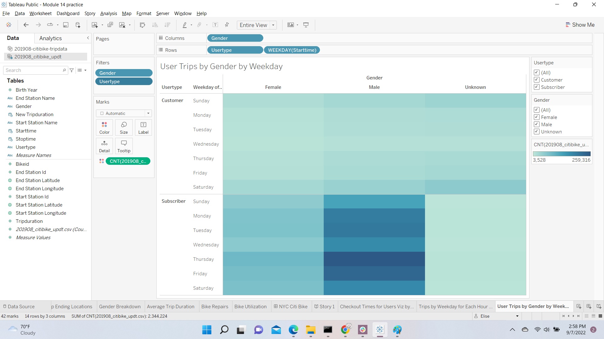 GitHub - lotuselise3/Bikesharing