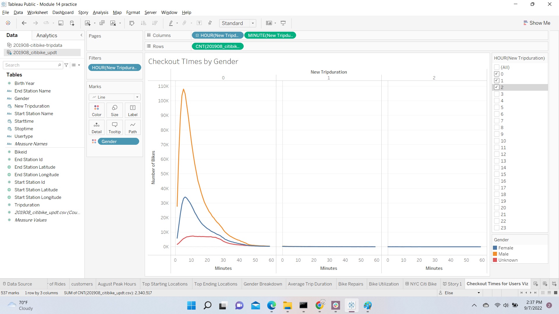 GitHub - lotuselise3/Bikesharing