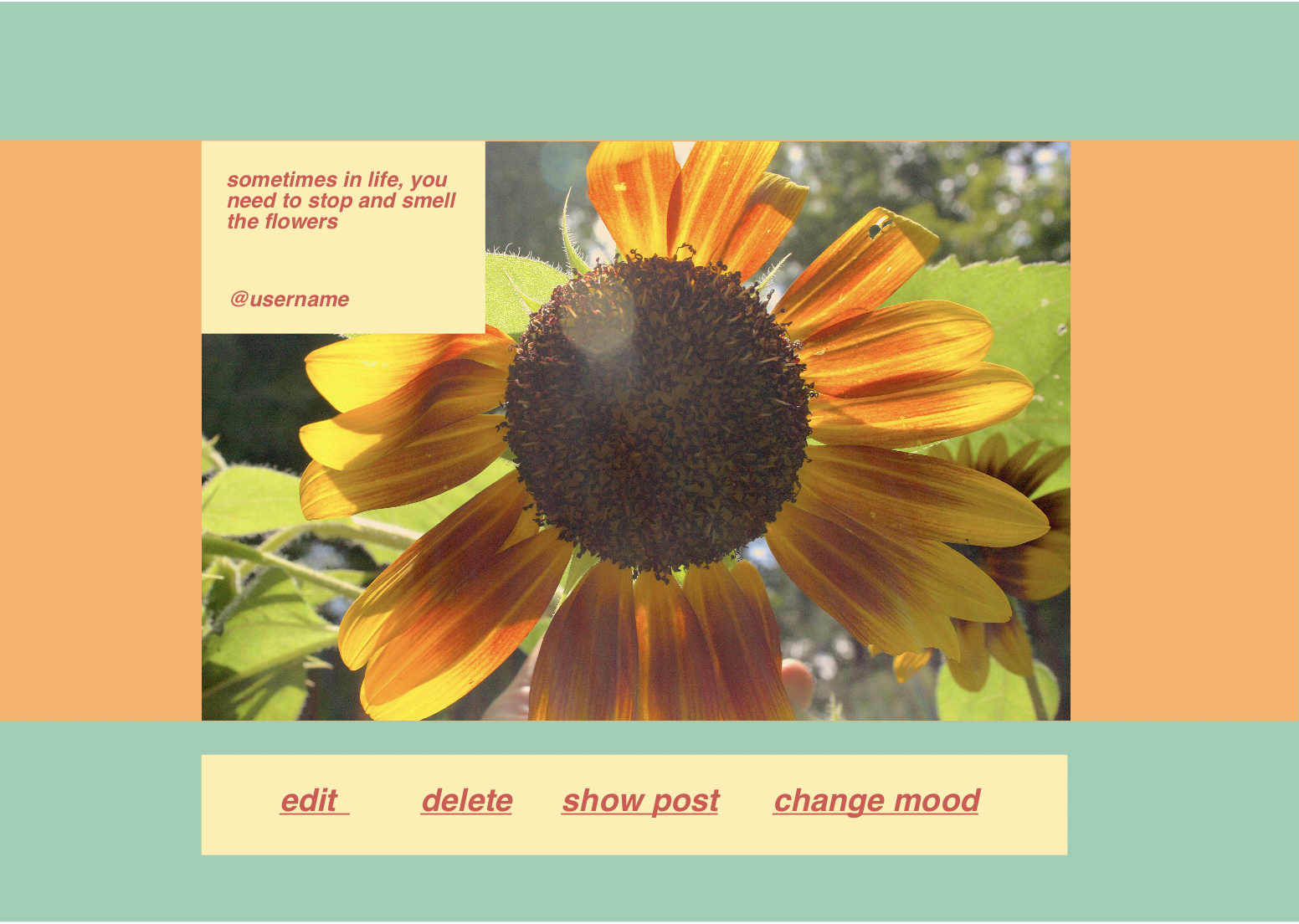 GitHub - infinitelyann/Project-2