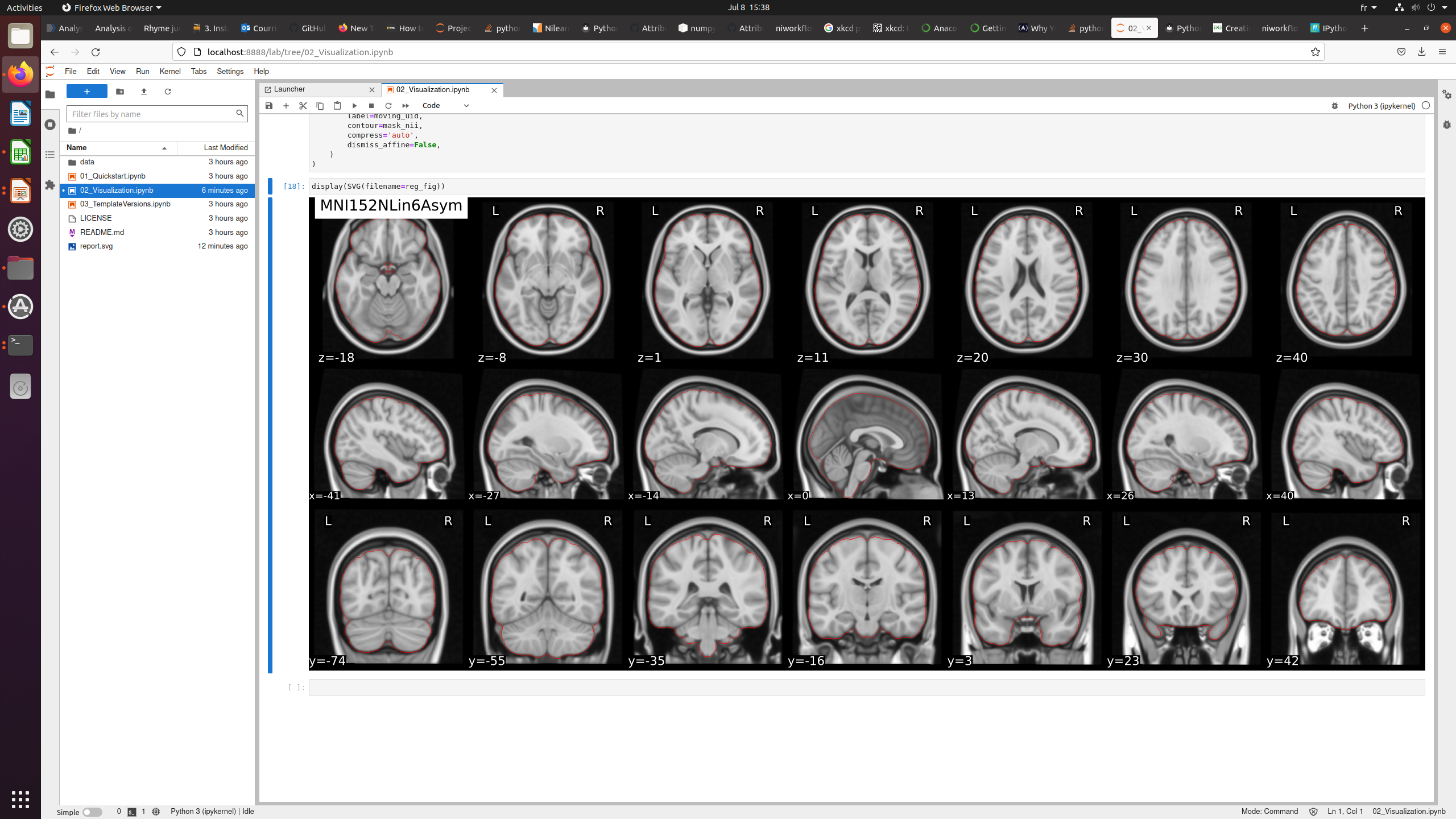 Notebook wrapper does not work on Jupyter-lab · Issue #3 · templateflow/templateflow-notebooks ...
