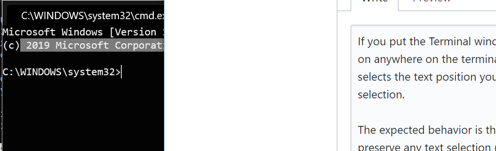 Terminal selects a char when bringing window to foreground · Issue #670 ...