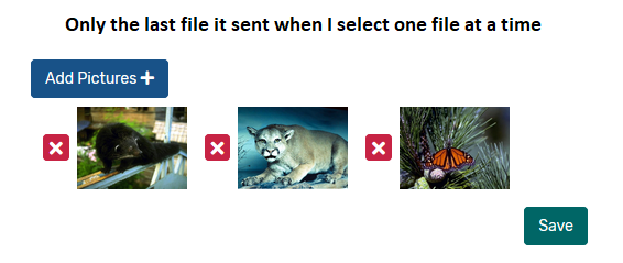 Adding style to the input file only send the last file when submitted · Issue #78 · fyneworks ...