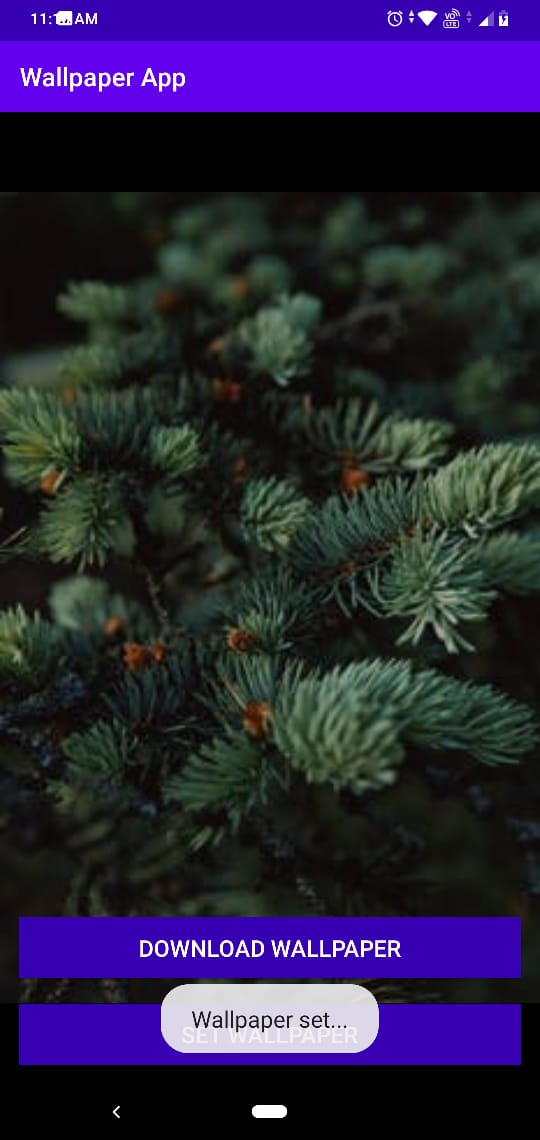 GitHub - DhruviMandaviya/WallpaperApp: My first android project using API.