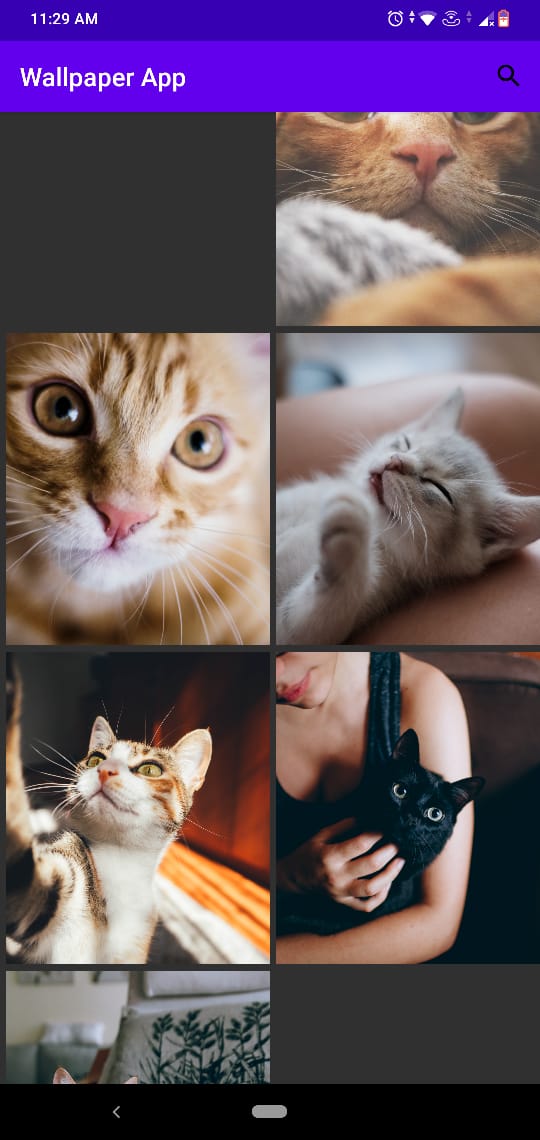 GitHub - DhruviMandaviya/WallpaperApp: My first android project using API.