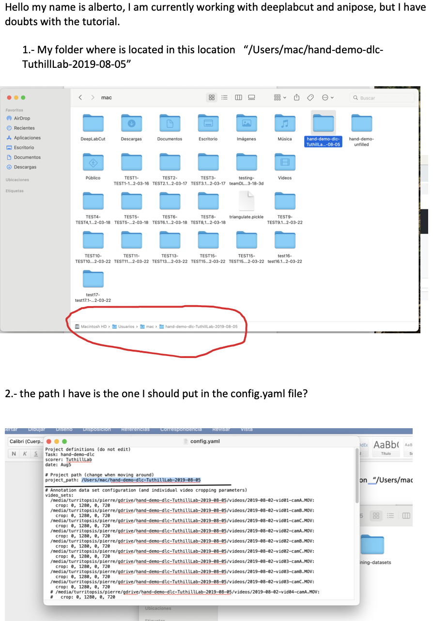 Help request with anipose "module 'cv2' has no attribute 'CALIB_CB_NORMALIZE_IMAGE'" · Issue #82 ...