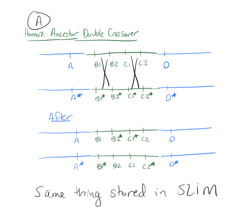 inversion recipe does not have correct inheritance · Issue #203 ...