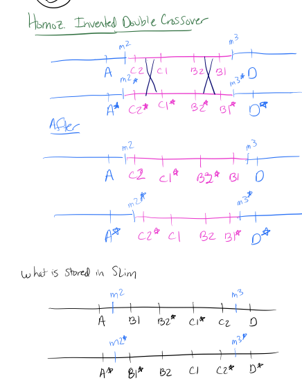 inversion recipe does not have correct inheritance · Issue #203 ...