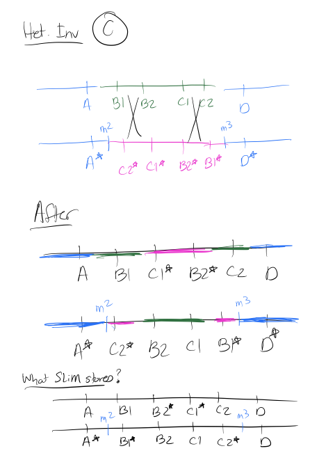 inversion recipe does not have correct inheritance · Issue #203 ...