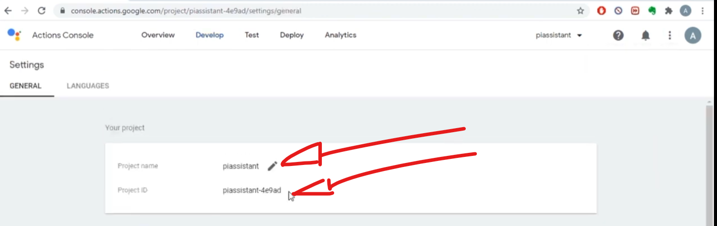GitHub - juniorkurahara/RaspberryPi_Google_Assistant: Raspberry Pi ...
