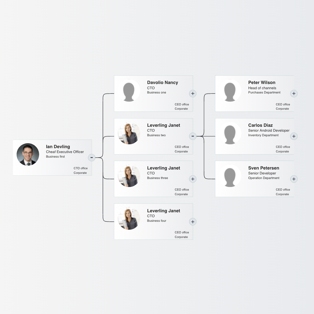 Assets · Issue #56 · bumbeishvili/org-chart · GitHub