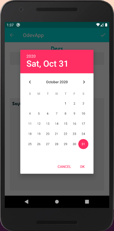 GitHub - enesarabaci/OdevApp