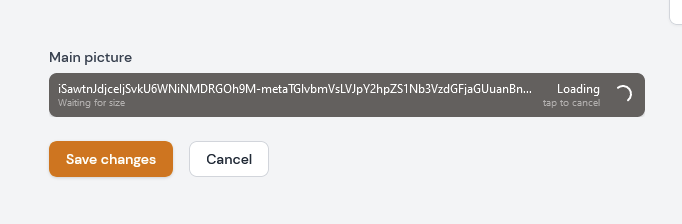 Admin Cave Edit doesn't load main picture properly · Issue #1 · hellboy1975/pilsi · GitHub