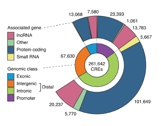 Peak annotation · stuart-lab signac · Discussion #423 · GitHub