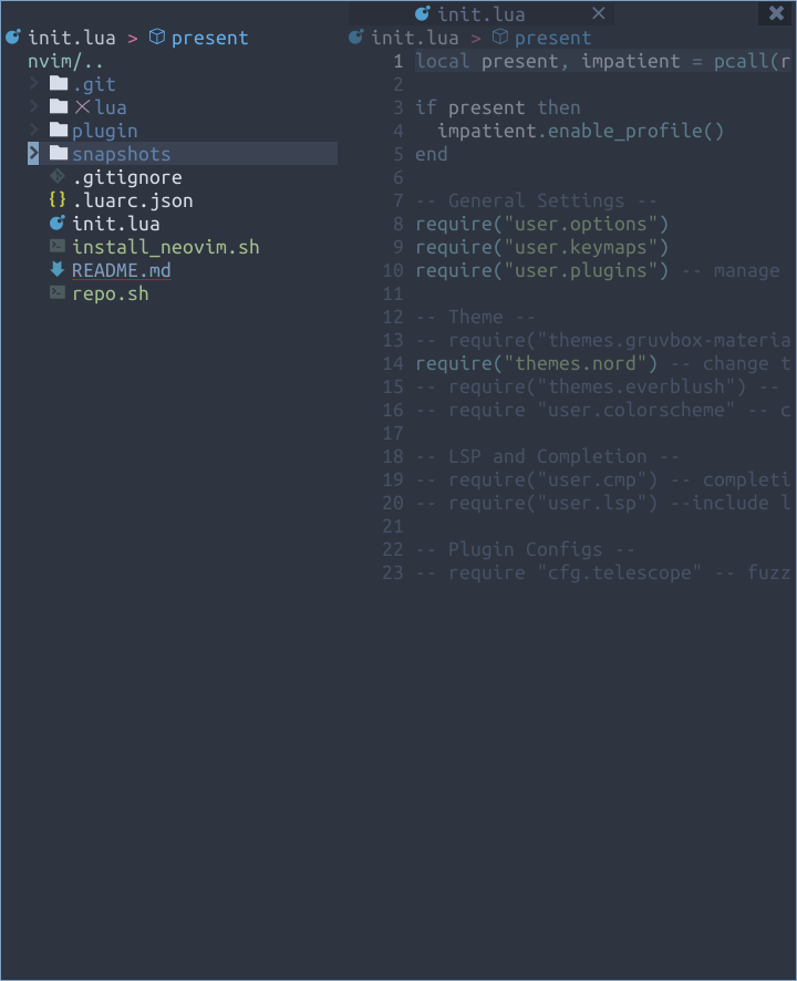 Winbar Doesnt Disappear In Nvimtree · Issue 398 · Nvimdevlspsaganvim · Github 