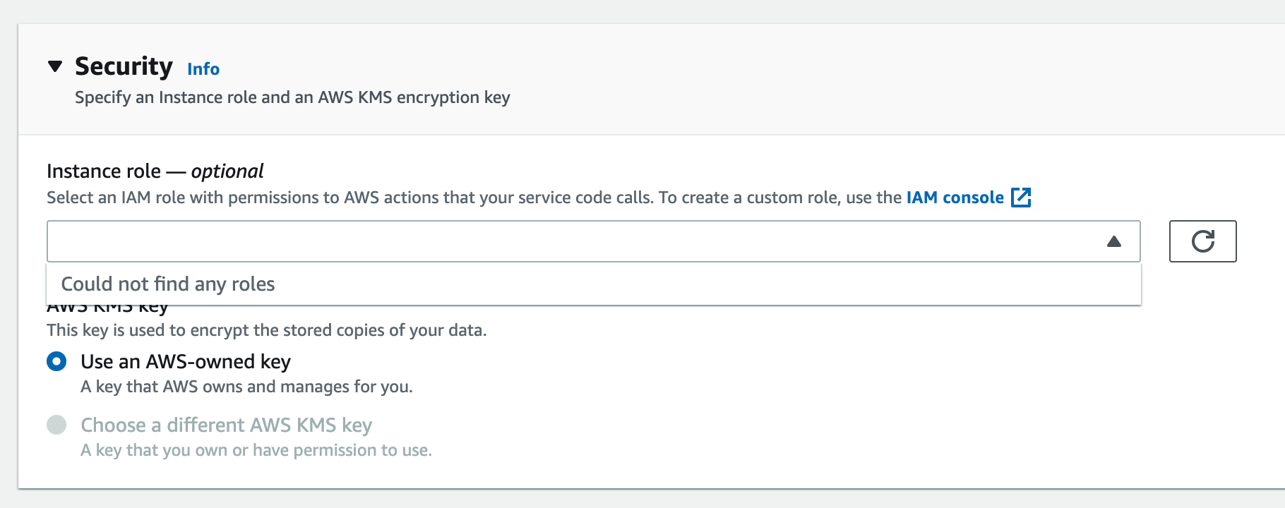 boto3 NoCredentialsError() and How to use print to log (Python) · Issue #74 · aws/apprunner ...