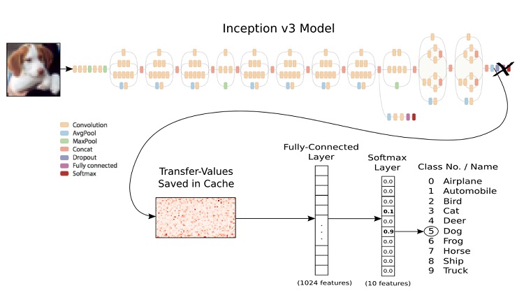 GitHub - sid81/Multiclass-classifier-of-plant-disease