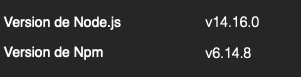 NPM version not listed correct in UI · Issue #1140 · homebridge/homebridge-config-ui-x · GitHub