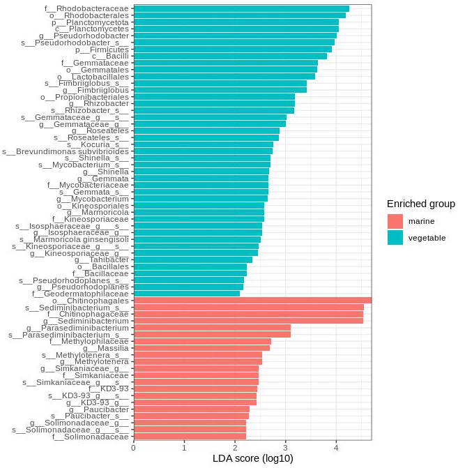 more than one taxa_rank but not "all" option? · Issue #67 · yiluheihei/microbiomeMarker · GitHub