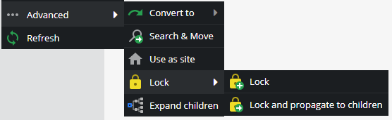 Pagelock Feature Not Supported In Rights Roles Configuration · Issue 13891 · Pimcore Pimcore
