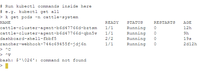 Unable to copy output from a kubectl shell · Issue #7820 · rancher/dashboard · GitHub