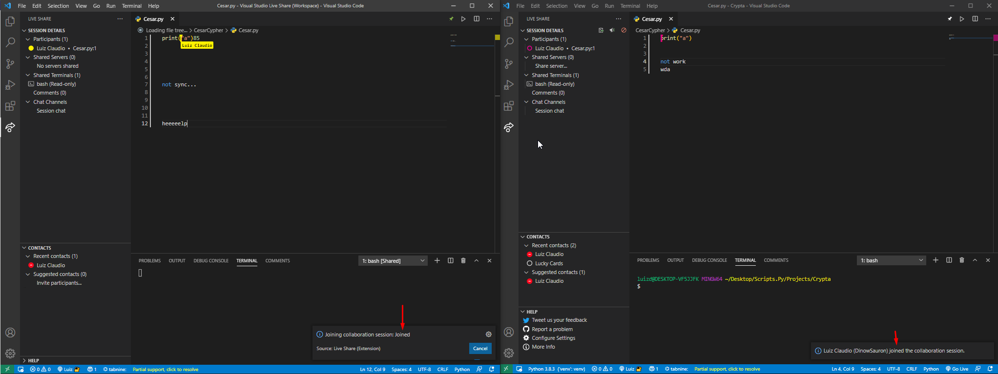 Python extension breaks co-editing · Issue #4199 · microsoft/live-share ...