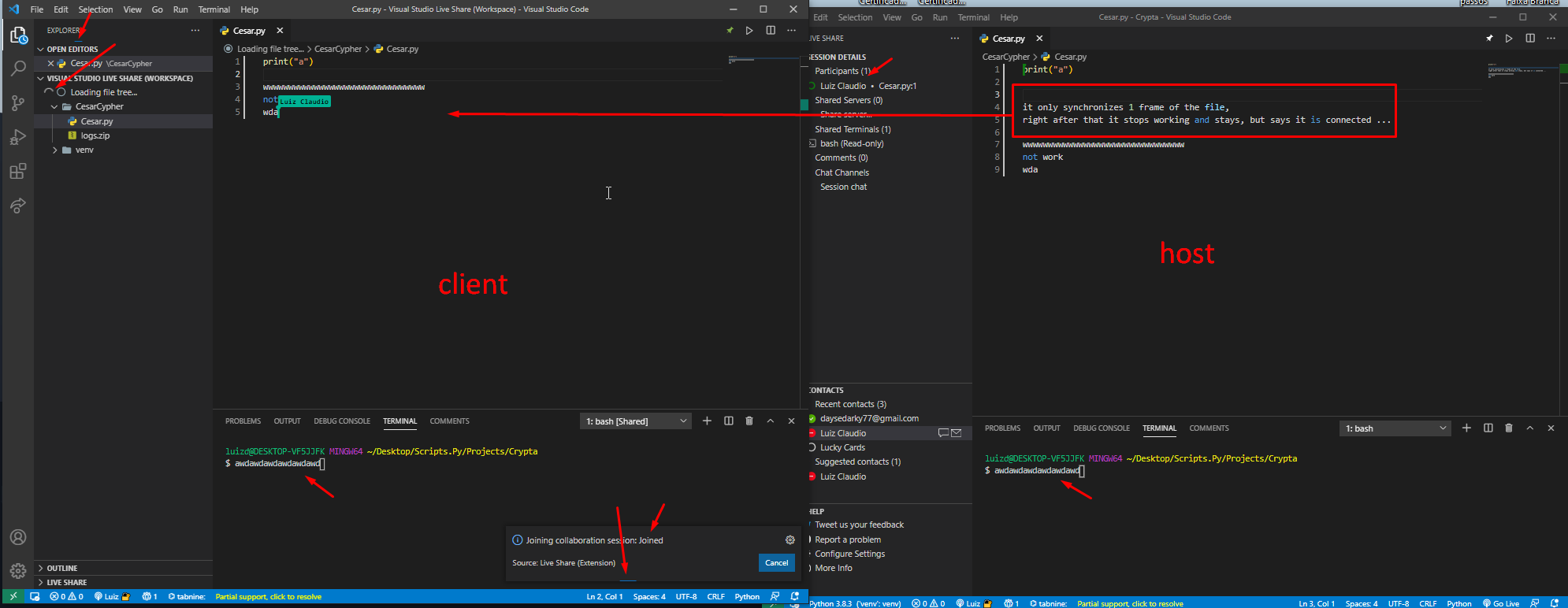 Python extension breaks co-editing · Issue #4199 · microsoft/live-share ...