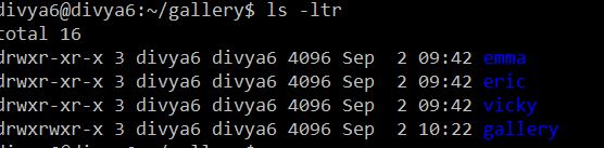 gallery_generator.py error: Could not determine type of stream · Issue #111 · dlstreamer ...
