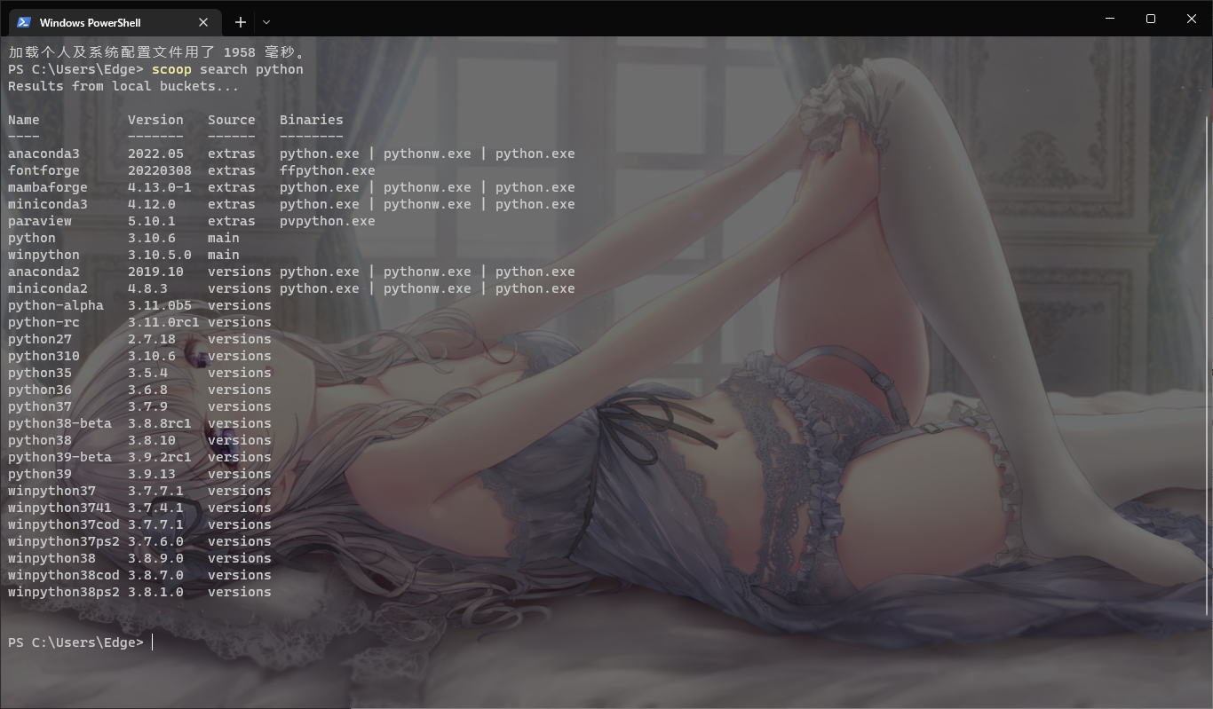 [Feature] scoop info [app] 可以支持查看软件的所有版本（Can support viewing all versions of the software ...